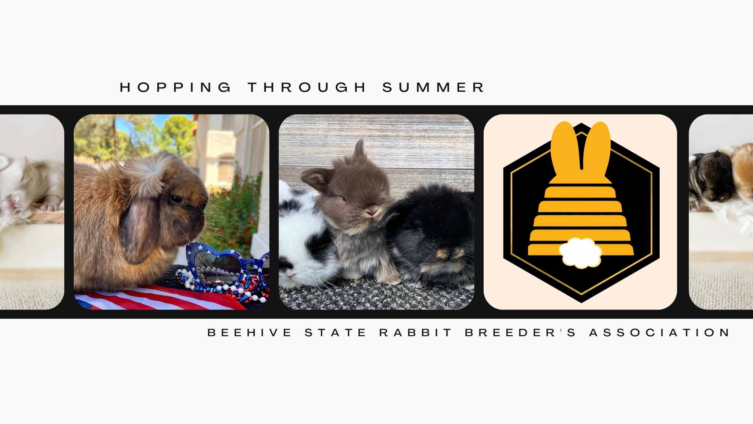 ARBA | Beehive State Rabbit Breeders Association